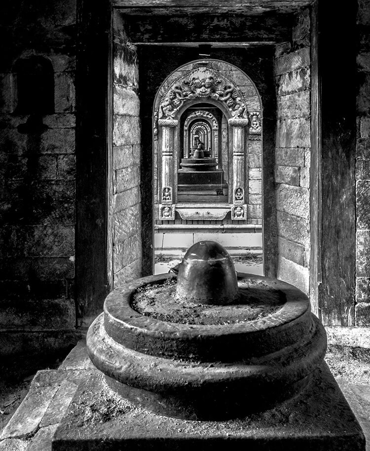 Give your site a boost with our easy-to-use tool - Olena Collection by ...